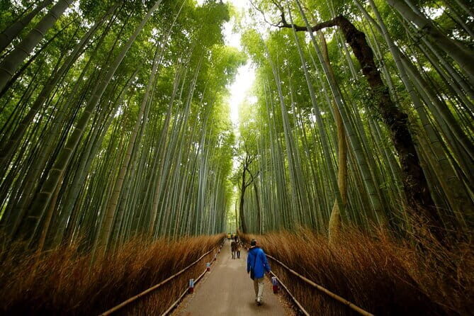 3 Day Japan Tour Kyoto, Osaka & Nara from Tokyo - Key Points