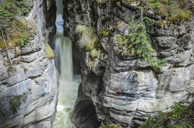 3-Day Jasper and Icefield Tour from Calgary - Authentic Experiences and Traveler Feedback