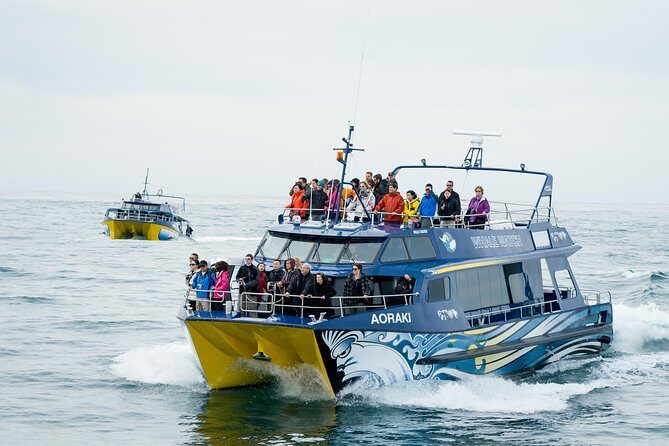 3 Day Kaikoura Sealife and Coach Tour from Christchurch - An In-Depth Look at the 3-Day Kaikoura Experience