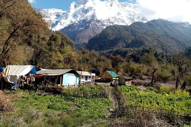 3 Day Kapuche Glacier Lake Trek with Siklesh from Pokhara - Final Thoughts: Is This Trek Right for You?