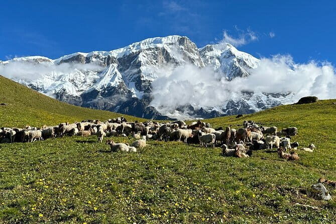 3 Day Kapuche Glacier Lake Trek with Siklesh from Pokhara - FAQs