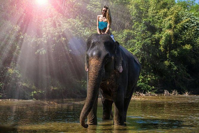 3-day Khao Sok Trekking - Final Thoughts: Who Is This Tour Best For?