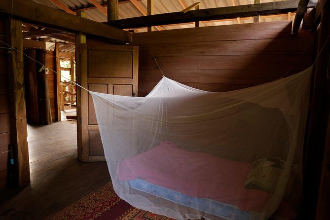 3-Day Kindred Spirit Elephant Sanctuary Chiang Mai - An Honest Look at the 3-Day Experience