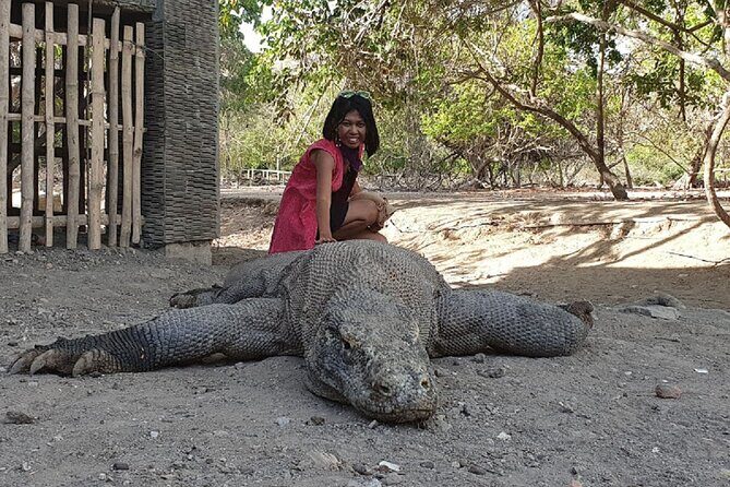 3-Day Komodo island Tour with or without Roundtrip Flight From Bali - A Deep Dive into the 3-Day Komodo Island Tour