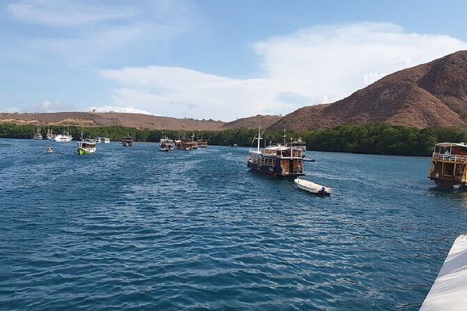 3-Day Komodo island Tour with or without Roundtrip Flight From Bali - What You’re Getting for the Price
