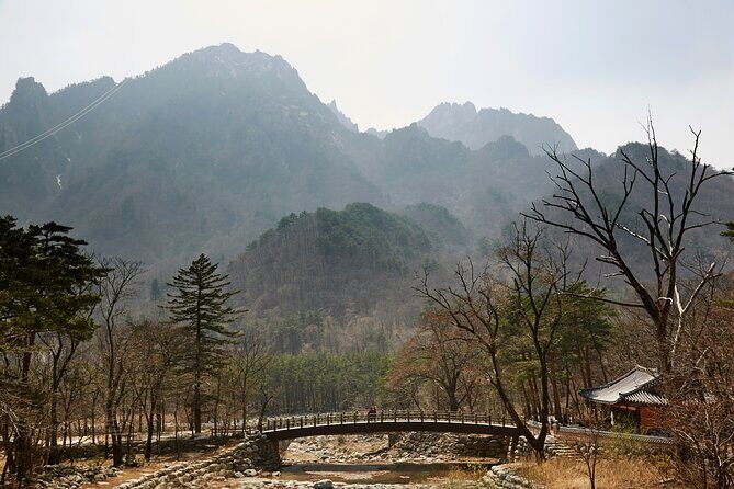 3-Day Korea Eastern course by K-shuttle Tour from Busan to Seoul - Final Thoughts