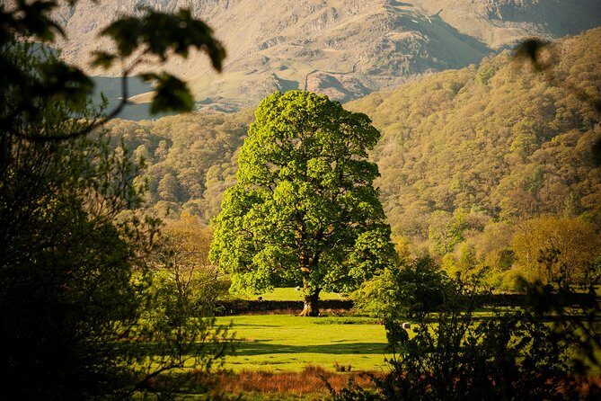 3-Day Lake District Explorer Small-Group Tour from Edinburgh - Who Should Consider This Tour?