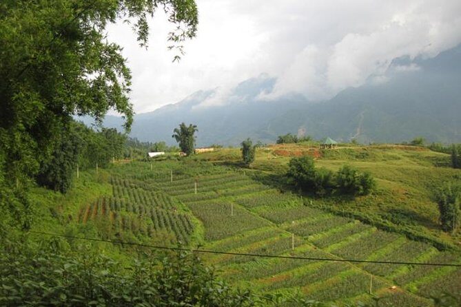 3 Day Lao Chai Ta Van Cat Cat Sin Chai Ma Tra Ta Fin from Hanoi by limousine bus - Key Points