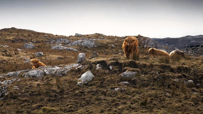 3-Day Lewis, Harris and the Outer Hebrides Small-Group Tour from Inverness - Day 3: Ancient Sites and Farewell to Lewis
