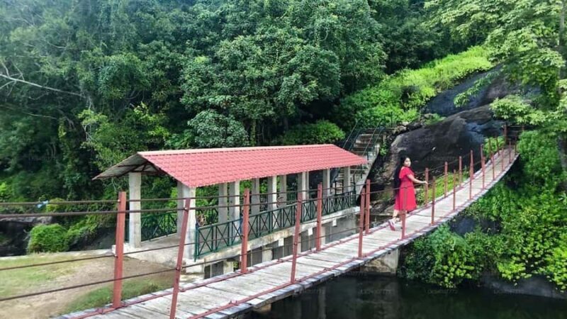 3-Day Mahiyanganaya Wildlife, Waterfalls, Culture, Yala Drop - Who This Tour Is Best For