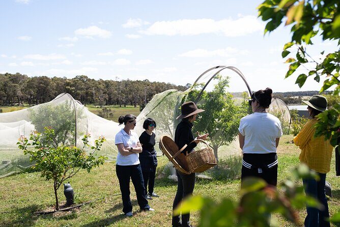 3 Day Margaret River Yoga Wellness Glamping Adventure From Perth - Final Thoughts