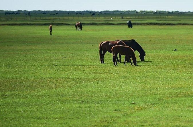 3-Day Mongol Empire Capital of Xanadu Tour from Beijing - Who Should Consider This Tour?