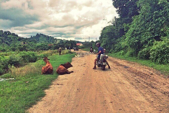 3-Day Motorbike Adventure from Nha Trang to Da Lat - Easy Rider - Who Will Love This Tour?