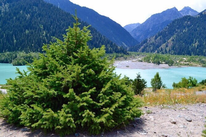 3-Day Nomadic Adventure: Turgen Falls, Assy Plateau & Glamping - Day 3: Waterfalls and Return to City Life