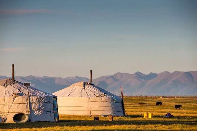 3 Day Nomadic Real Life Experience - Discovering the Essence of Mongolia’s Nomadic Life