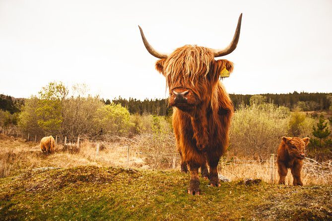 3-Day North Coast 500 Small-Group Tour from Inverness - The Practical Aspects: Comfort, Value, and Flexibility
