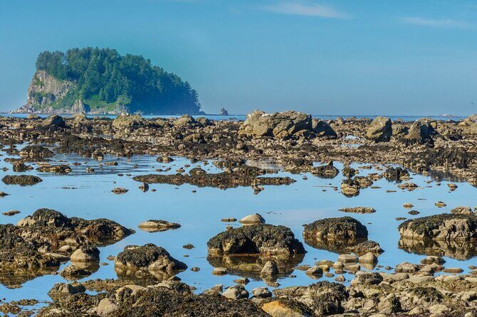 3-Day Olympic Backpacking - The Ozette Coast - Final Thoughts