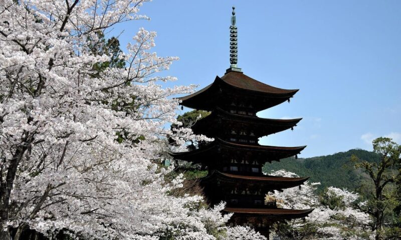 3-Day ONE WAY Bus Tour to Hiroshima via SAN'IN from Fukuoka - Who Will Love This Tour?