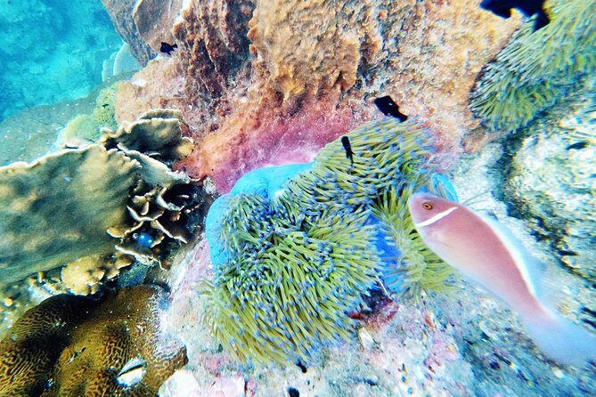 3-Day PADI Open Water Diver Course in Koh Chang - Who Will Love This Experience?