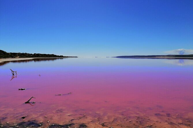 3 Day Pink Lake and Margaret River tour - A Comprehensive Look at the 3-Day Tour