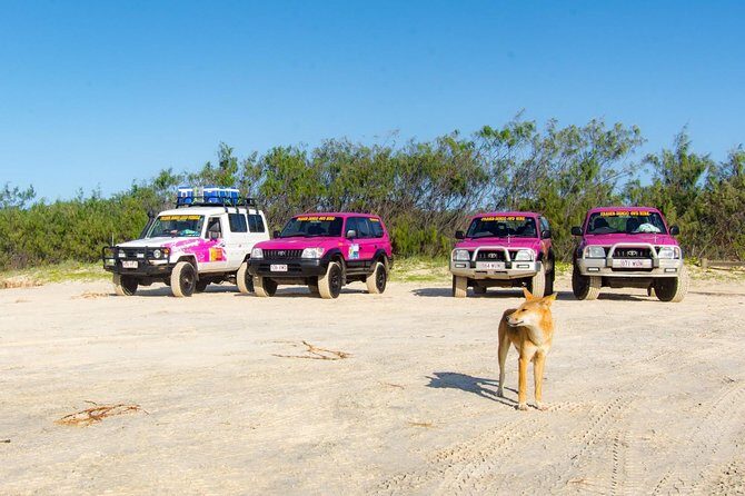 3 Day PINK4WD Tagalong Tour - K'gari/Fraser Island - A Deep Dive into the Fraser Island Adventure