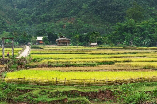 3-Day Private Authentic Tour of Mai Chau & Pu Luong from Hanoi - Key Points