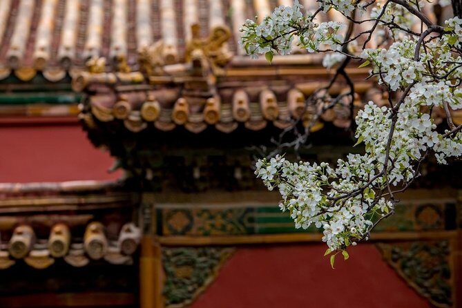 3-Day Private Beijing Tour with Forbidden City, Great Wall, Hutong and Lunch - The Sum Up: Is This Tour Worth It?