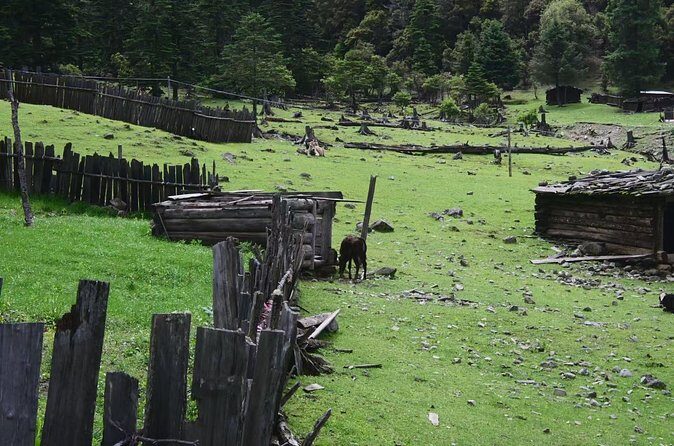 3-Day Private Hike from Haba Village to Tiger Leaping Gorge - The Sum Up: Who Should Consider This Tour?