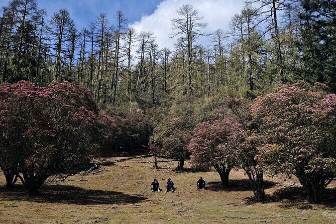 3-Day Private Hike from Haba Village to Tiger Leaping Gorge - FAQs