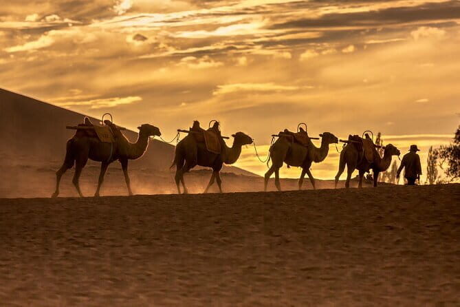 3 Day Private Silk Road Tour of Dunhuang Mogao Grottoes - A Practical Take on the 3-Day Private Silk Road Tour of Dunhuang Mogao Grottoes