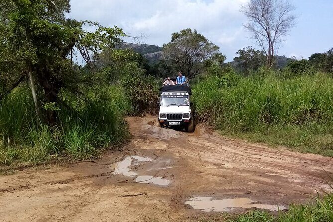 3 Day Private Tour from Negombo to Sigiriya and Kandy - Day 3: Herbal Gardens and Kandy