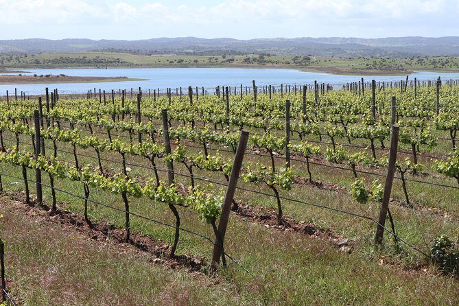 3 Day Private Tour in the Algarve from Lisbon - Final Word