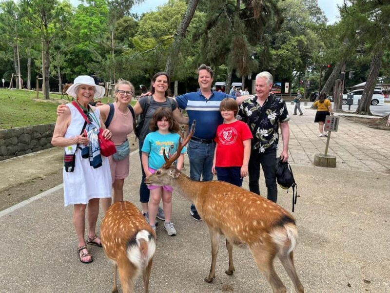 3-Day Private Tour : Kyoto, Arashiyama & Nara's Highlights - The Structure of Your Kyoto Adventure