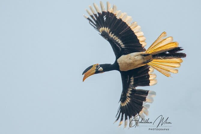 3 day private tour of Hampi from Bangalore by flight with guide and hotel - FAQs about the Hampi Private Tour