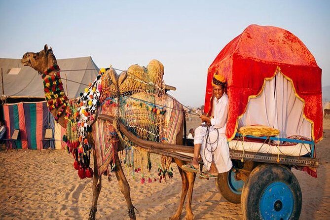 3-Day Private Tour of Jaisalmer with Desert Camp Experience - Authentic Experiences and Highlights