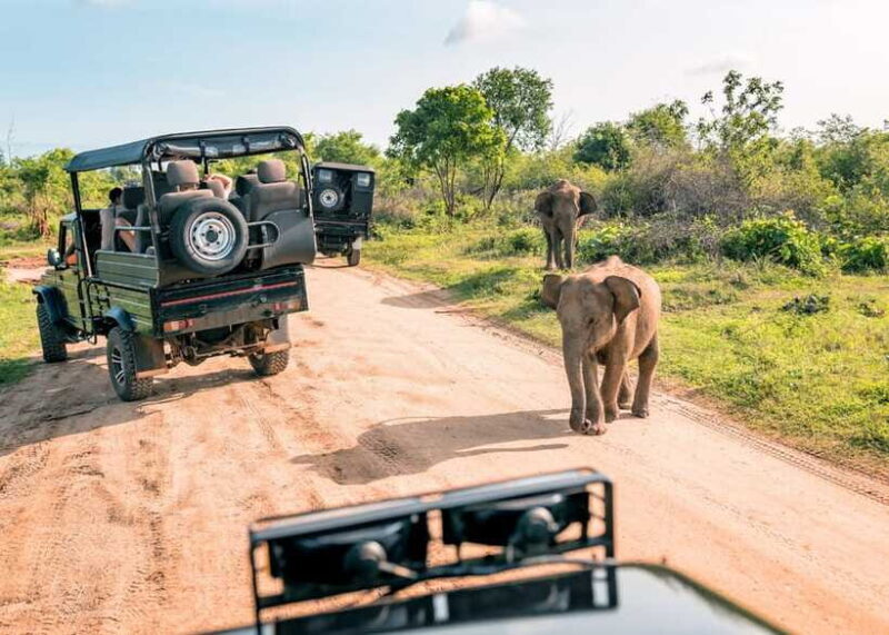 3-Day Private Tour: Sigiriya, Dambulla, Ella With Train Tour - Key Points