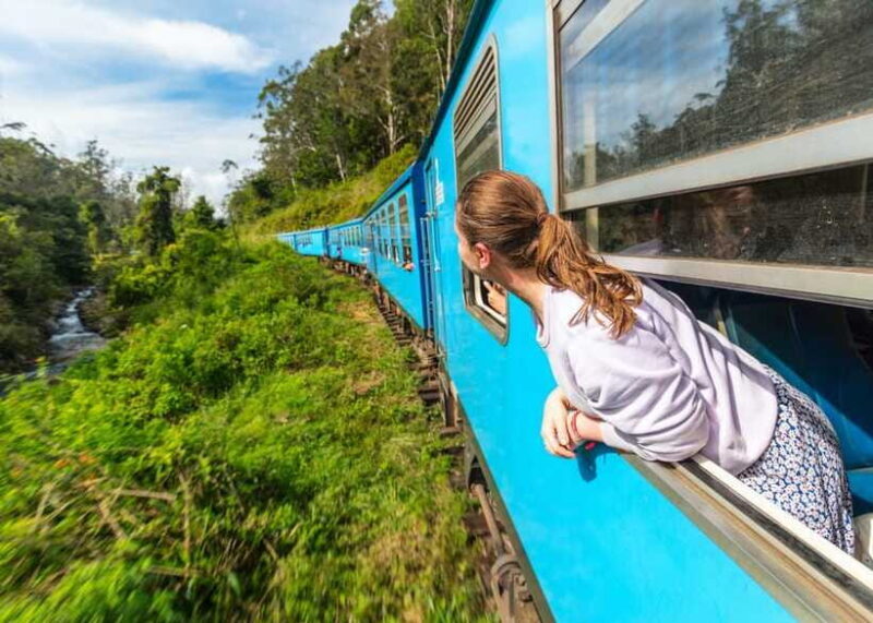 3-Day Private Tour: Sigiriya, Dambulla, Ella With Train Tour - Who Should Consider This Tour?