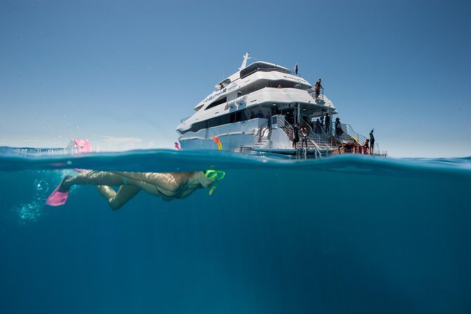3 Day Reef Cruise, 4WD Rainforest and Outback Chillagoe Package - What Travelers Say