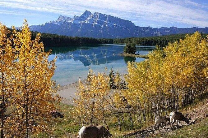3-Day Rockies Express Tour Package: Banff, Lake Louise and Yoho - A Deep Dive into the Rockies Experience