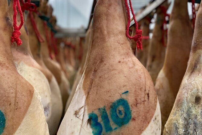 3-Day Rural Experience in the Valley of Ocón - Key Points