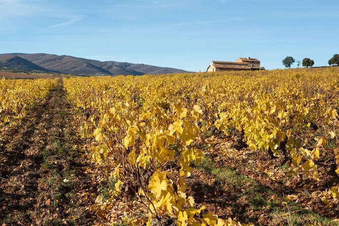 3-Day Rural Experience in the Valley of Ocón - Informed by Reviews