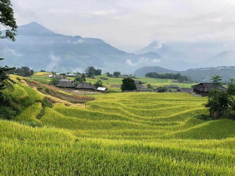 3-Day Sa Pa Trek: Villages, Rice Terraces & Bamboo Forest - FAQ