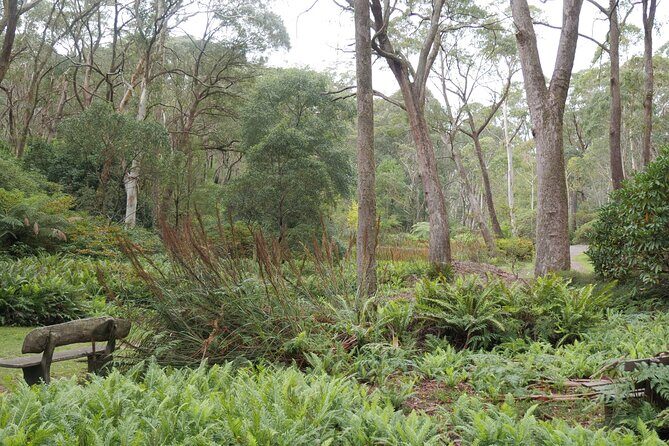 3 Day Scenic Tour of Blue Mountains from Sydney - Frequently Asked Questions