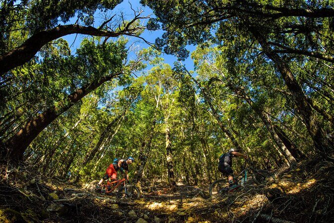 3 Day Shuttle MTB Weekend Adventure in Nelson - What’s Included and What to Consider