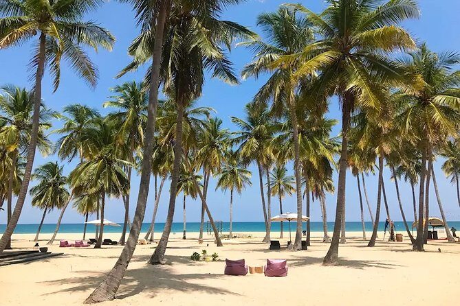 3 Day Sri Lanka Cultural tour and East Coastal tour - Engaging Introduction