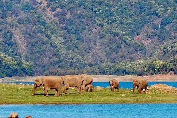 3 Day Taj Mahal and Jim Corbett National Park Safari Tour - Authentic Experiences and Overall Value