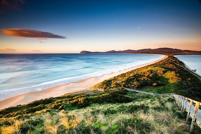 3 day Tasmanian highlights tour  Hobart, Port Arthur and Bruny Island - Authentic Experiences and Highlights from Travelers