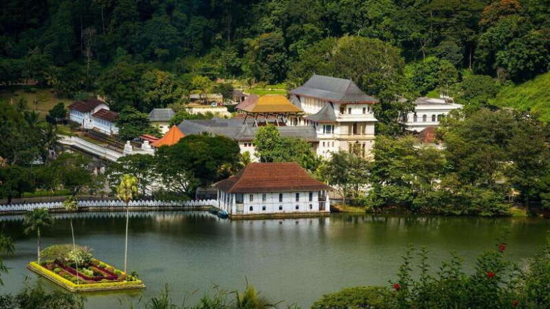 3-Day Tour from Your Hotel: Explore Kandy, Ella, and Yala - The Wild Side at Yala National Park