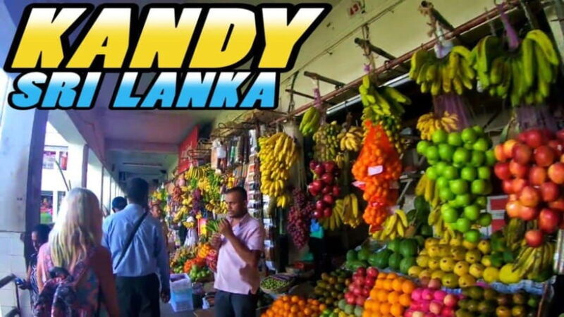 3-Day Tour from Your Hotel: Explore Kandy, Ella, and Yala - Who Should Consider This Tour?