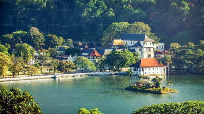 3-Day Tour from Your Hotel: Explore Kandy, Ella, and Yala - FAQs